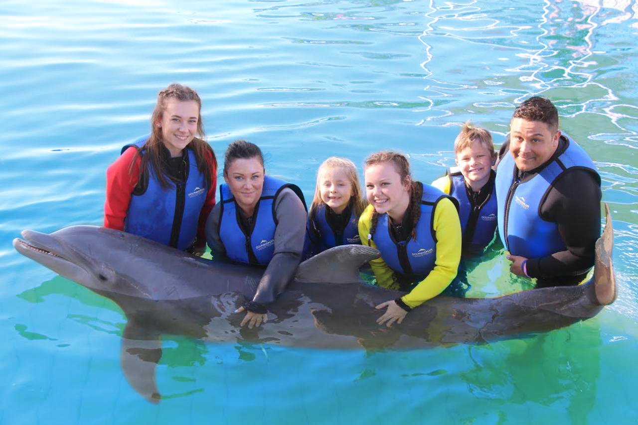 SAVE 10% On Dolphin Encounters